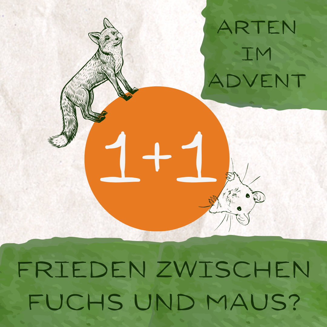Arten im Advent: 2.12. - Lütten Weihnacht